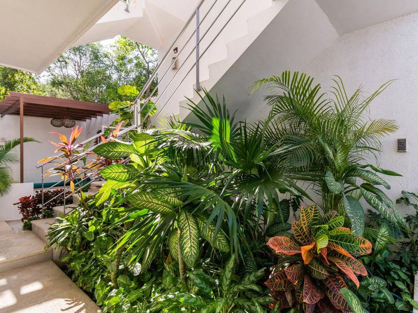 renta Departamento en Playa del Carmen, Quintana Roo (2_43_87778493 ...