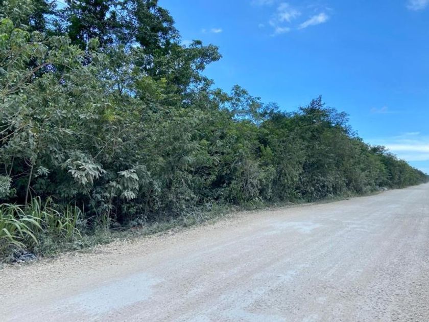 venta Lote de Terreno en Isla Blanca, Isla Mujeres (31694082-MX22 ...