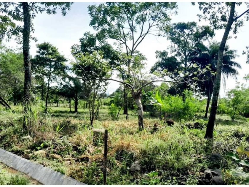 venta Lotes y Terrenos en Cochea, David (6310484)- icasas.com.pa