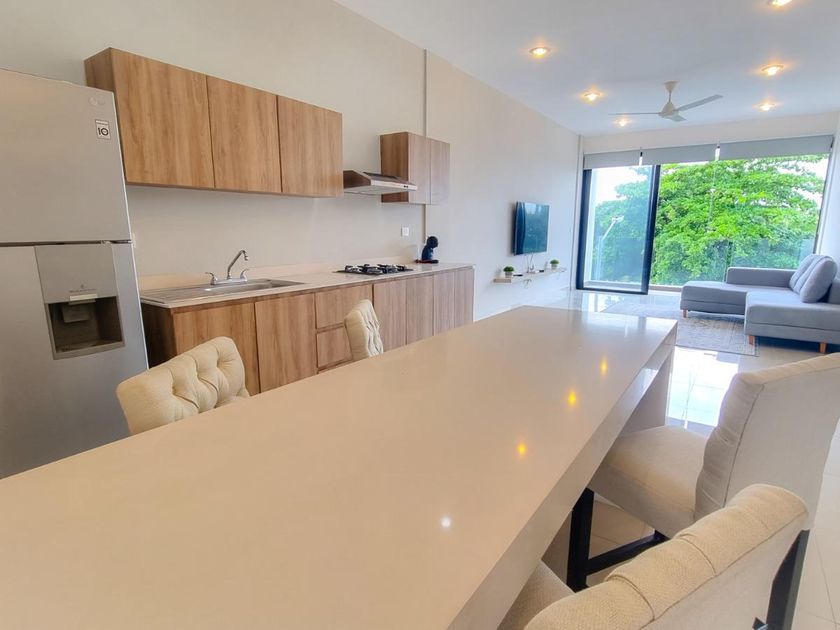 renta Departamento en Playa del Carmen, Quintana Roo (2_43_90616344 ...