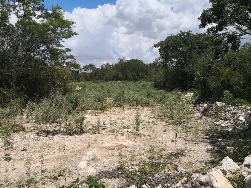 venta Lote de Terreno en Mérida, Mérida, Mérida, Yucatán (2_43_93112511 ...