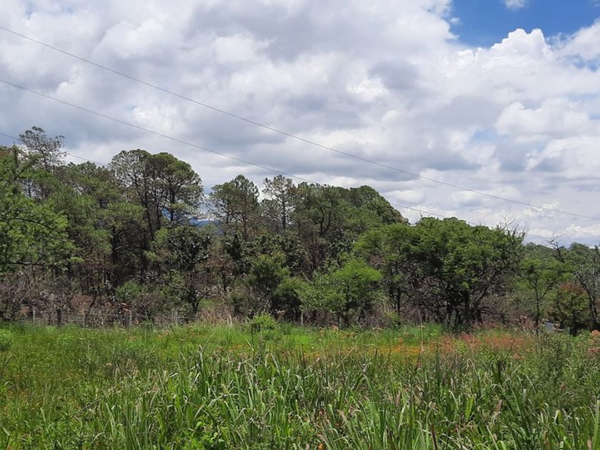 venta Lote de Terreno en Temascaltepec, Estado De México (EB-OD5770 ...