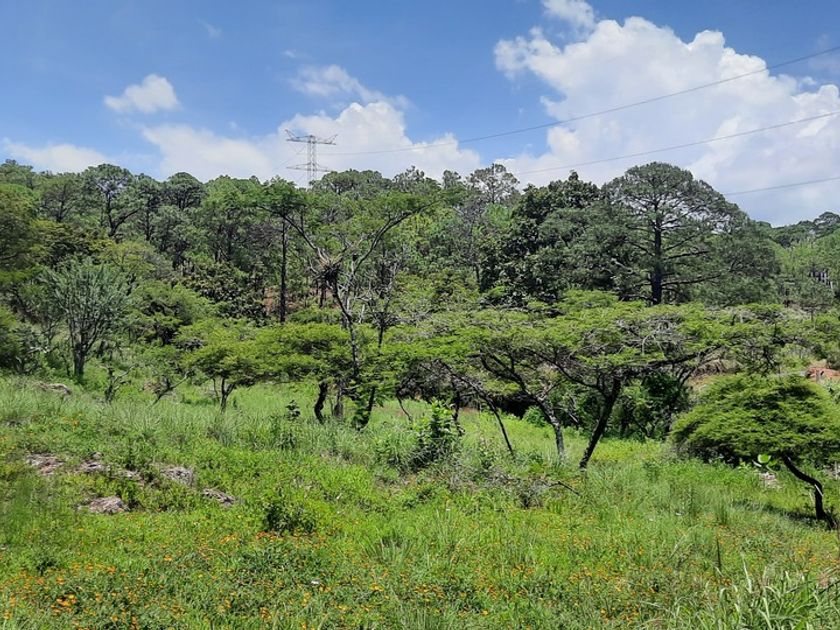 venta Lote de Terreno en Temascaltepec, Estado De México (EB-OD5770 ...