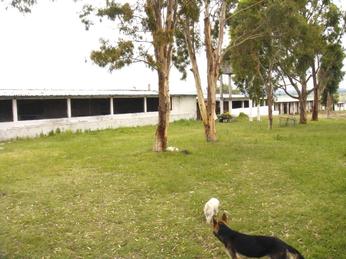 venta Rancho en Jonacapa, Huichapan (EB-IZ1620)- icasas.mx