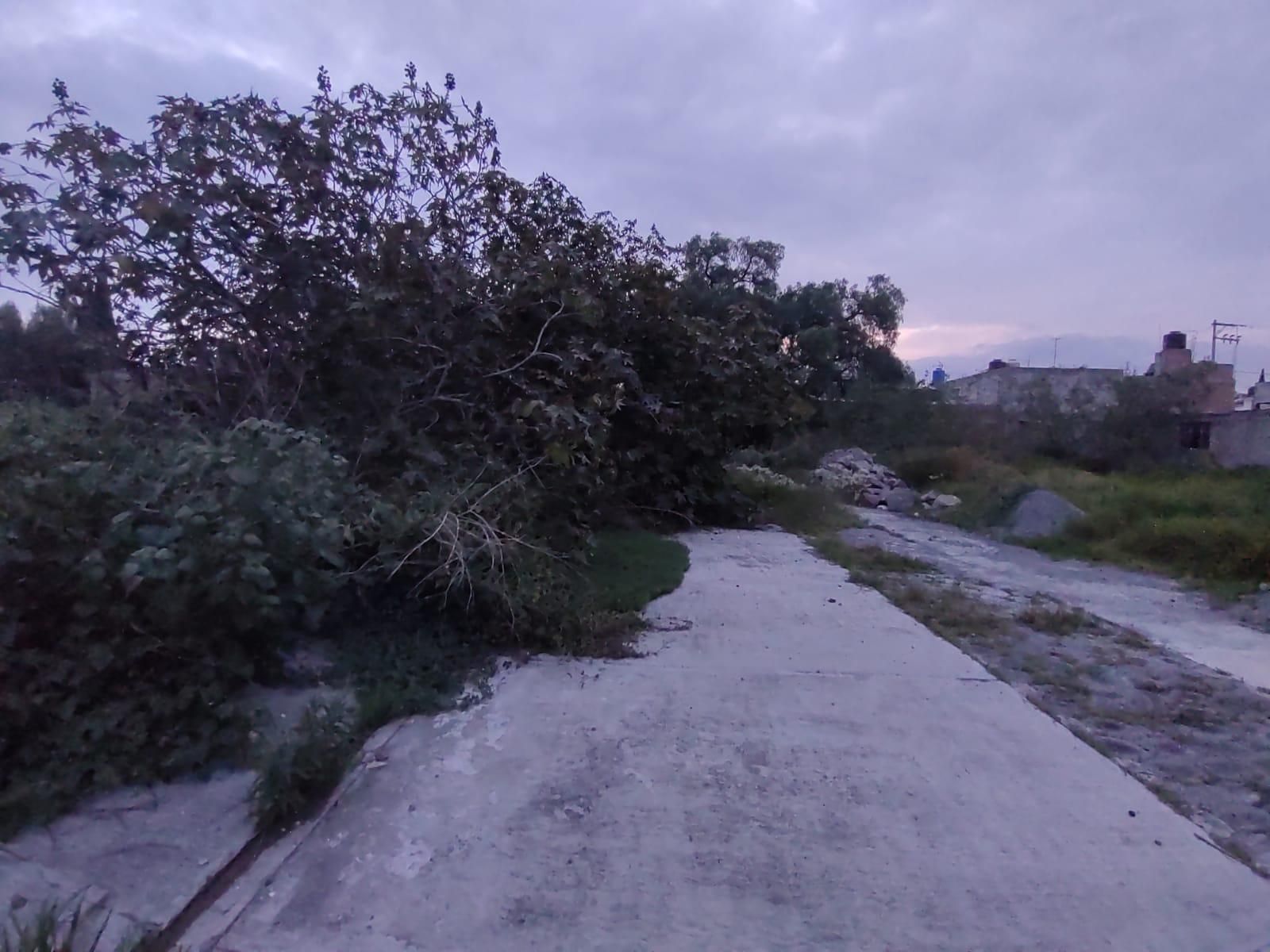 venta Lote de Terreno en Centro, Santa María de Tultepec, Tultepec (2 ...
