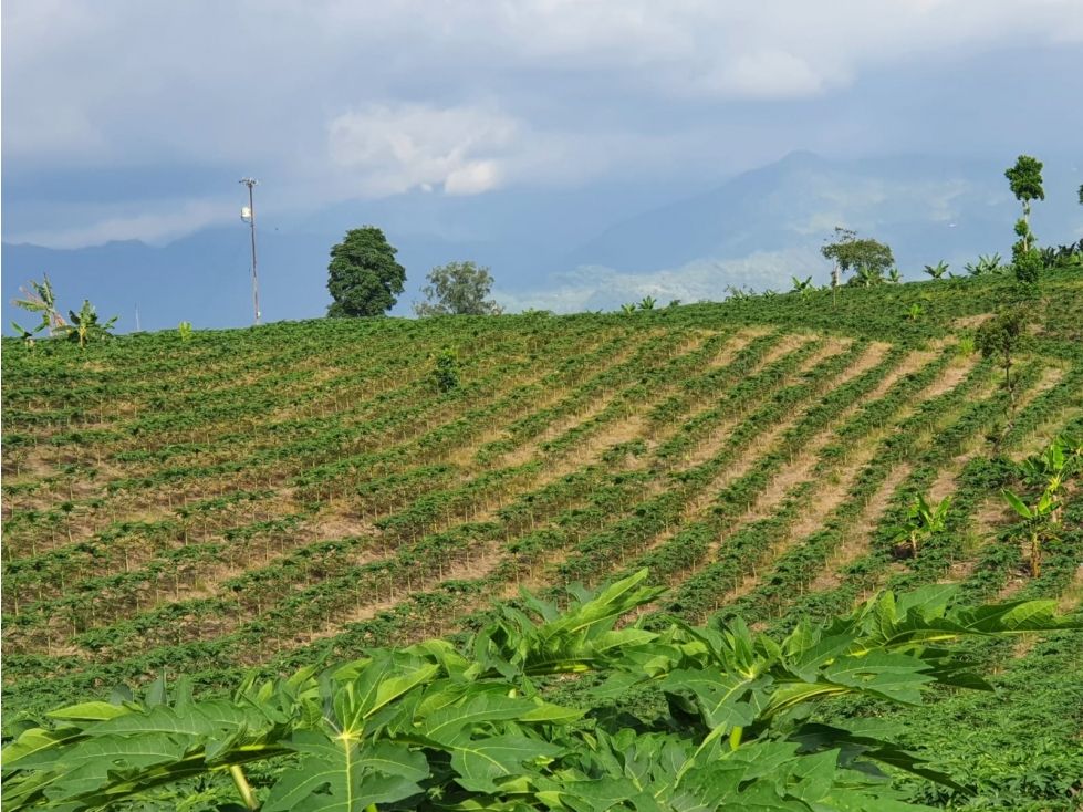 venta Villa-Quinta en La Tebaida, Quindío (7111687)- puntopropiedad.com