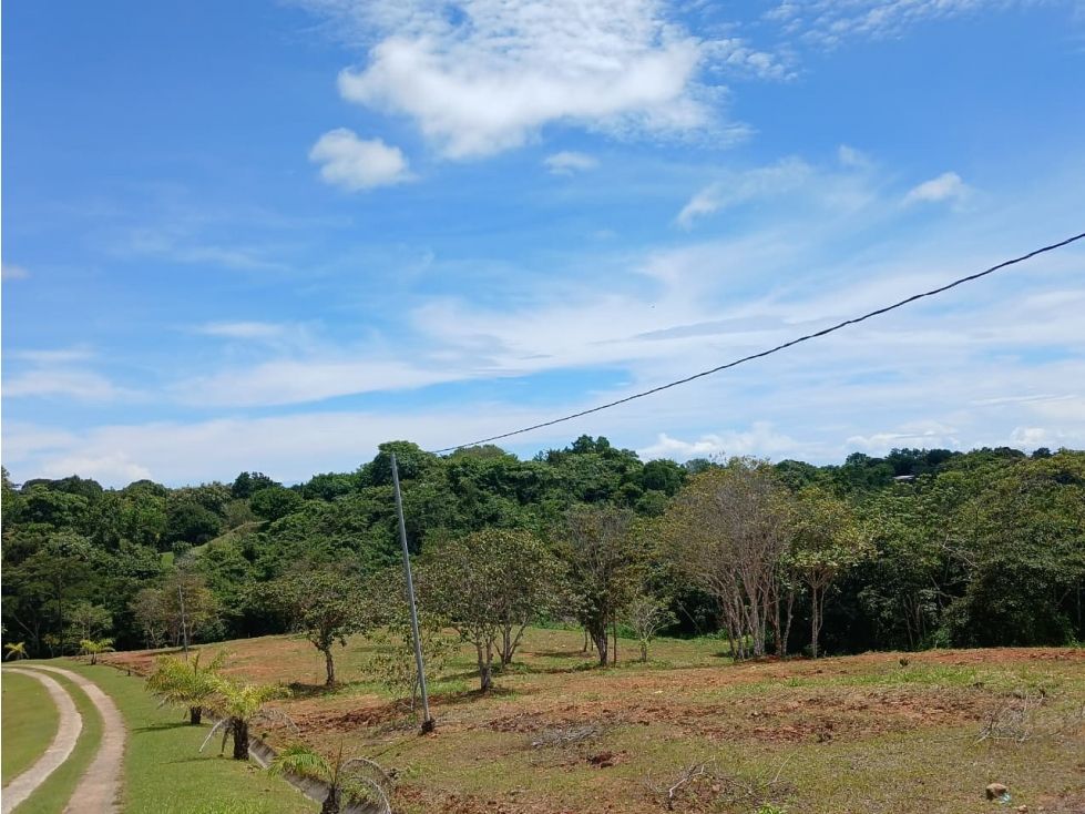 venta Lotes y Terrenos en Los Llanitos, San Carlos (9627869)- icasas.com.pa