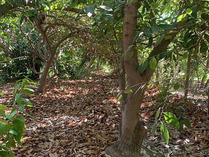 venta Parcela en La Cruz, Quillota (52188)- icasas.cl