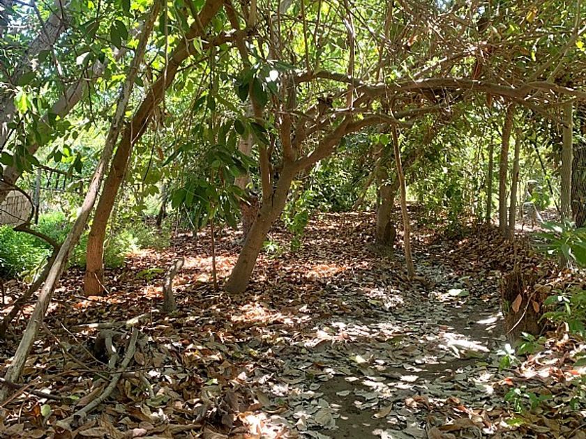 venta Parcela en La Cruz, Quillota (52188)- icasas.cl