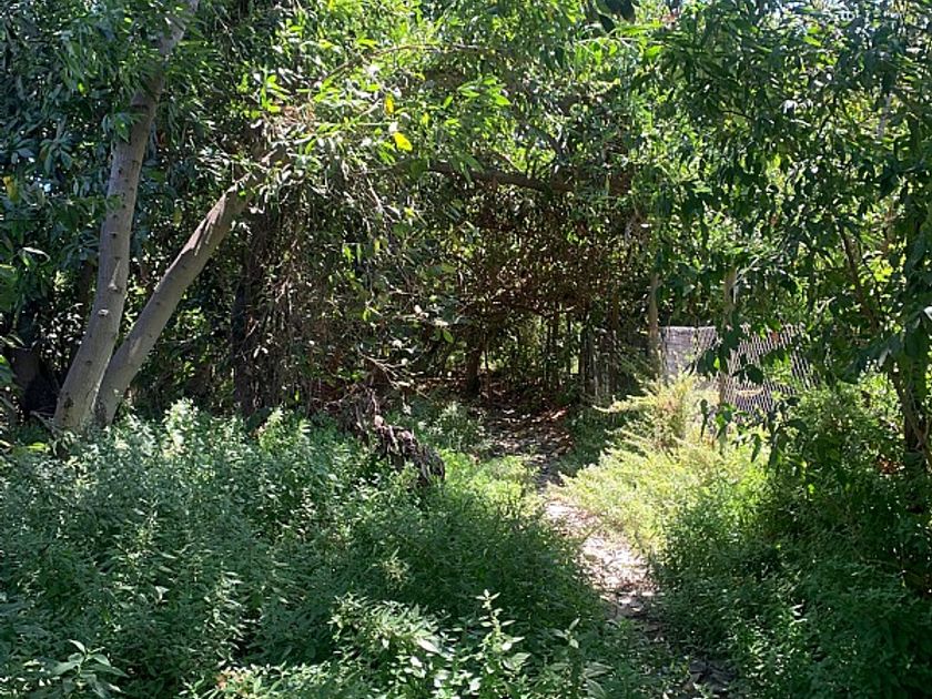 venta Parcela en La Cruz, Quillota (52188)- icasas.cl