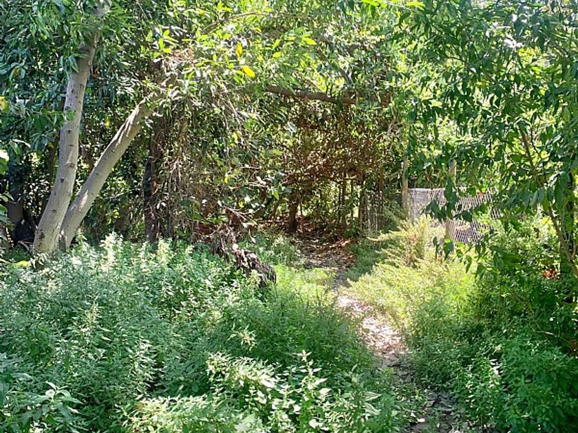 venta Parcela en La Cruz, Quillota (52188)- icasas.cl