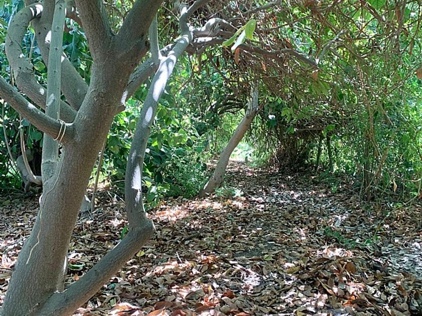 venta Parcela en La Cruz, Quillota (52188)- icasas.cl