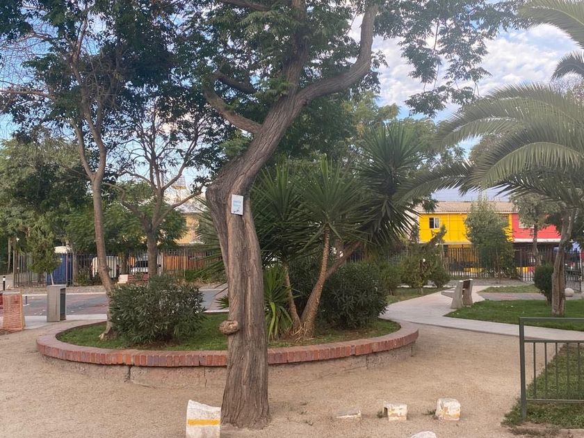 venta Casa en Ñuñoa, Provincia de Santiago (137776)- icasas.cl