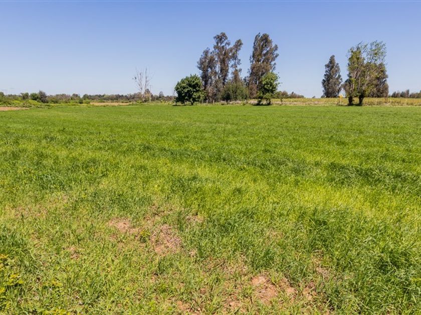 venta Parcela en Parral, Linares (114005447)- icasas.cl