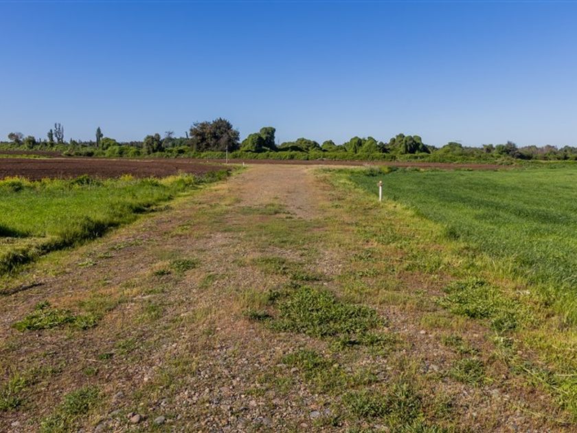 venta Parcela en Parral, Linares (114005447)- icasas.cl