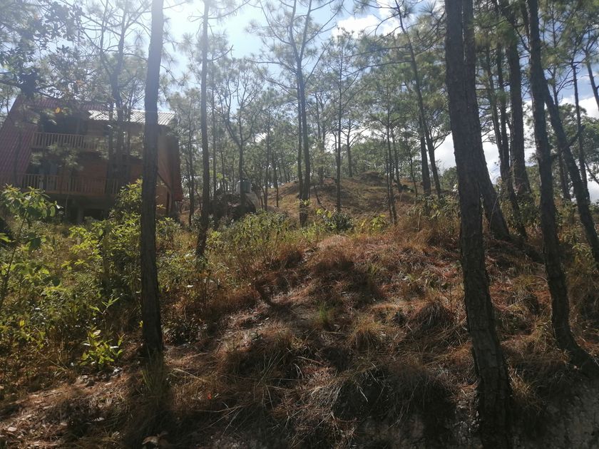 venta Lote de Terreno en Tierra Colorada, Guerrero (NEX-118454)- icasas.mx