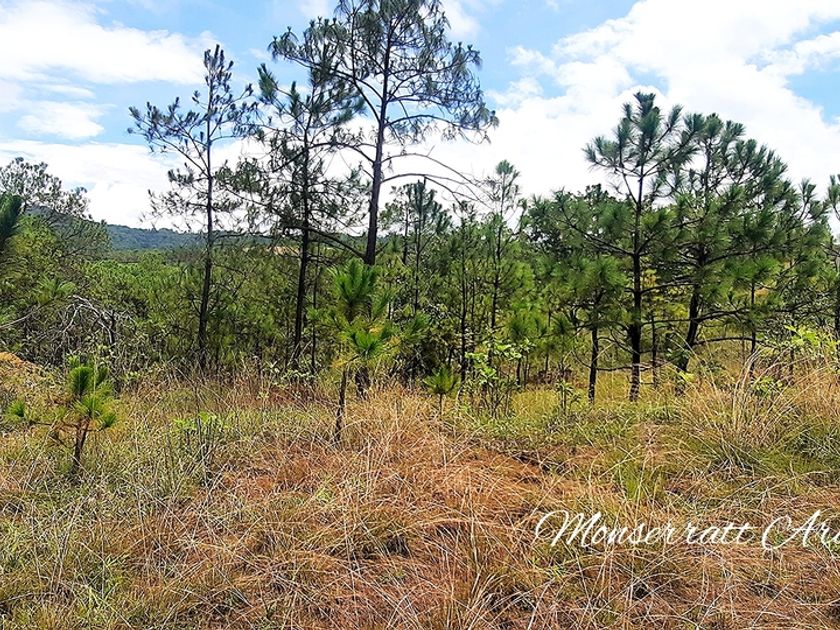 venta Lote de Terreno en Temascaltepec, Estado De México (EB-OA7718s ...