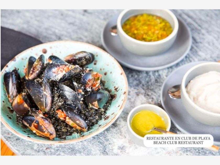 venta Lote de Terreno en Playa del Carmen, Quintana Roo (31693184-MX22 ...