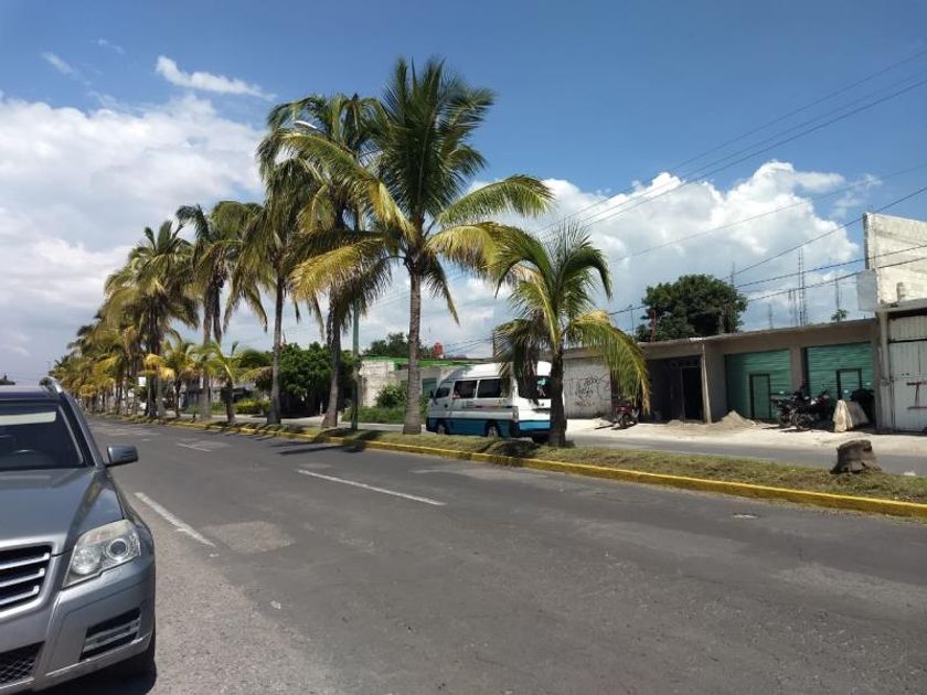 venta Lote de Terreno en Pueblo Anenecuilco Centro, Ayala (MX20-IX6428 ...