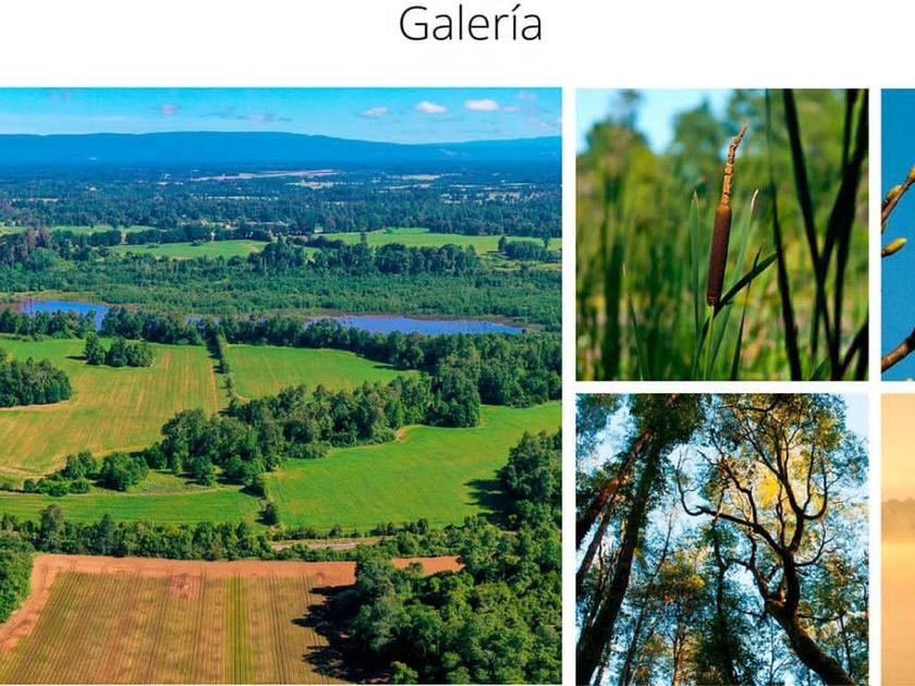 venta Parcela en Máfil, Valdivia (9595)- icasas.cl