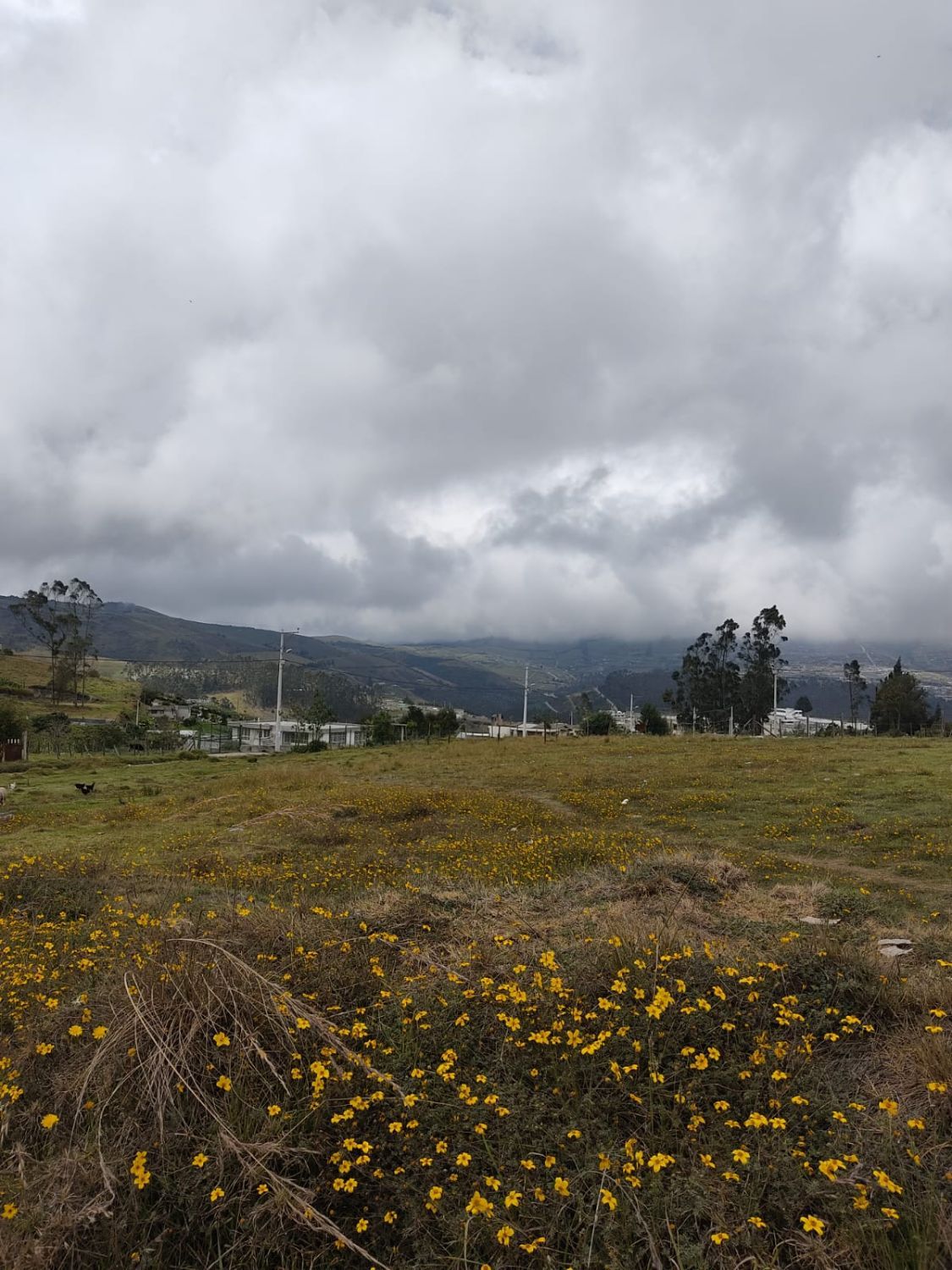 venta Terreno Residencial en El Condado, Centro Norte (127)- icasas.ec