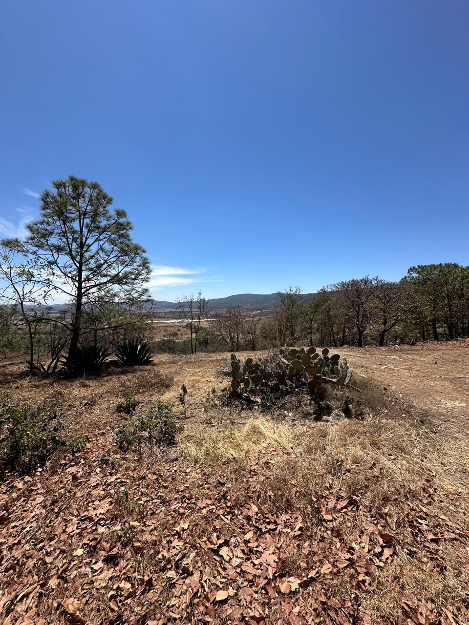 venta Lote de Terreno en Tapalpa, Tapalpa, Tapalpa, Jalisco (dgt3 ...