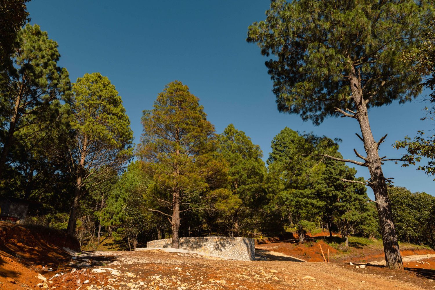 venta Lote de Terreno en San José, San Cristóbal de las Casas, San Cristóbal de las Casas (KM38 ...