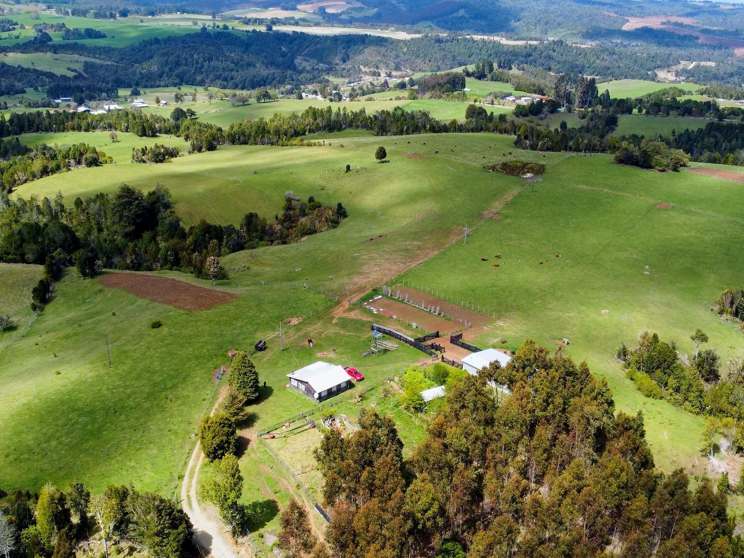 venta Parcela en Los Muermos, Llanquihue (Campo Pradera Oeste)- icasas.cl