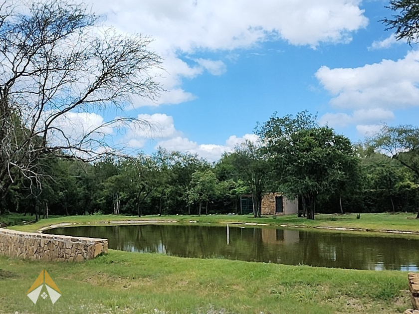 venta Quinta en Montemorelos Centro, Montemorelos (410QV1)- icasas.mx
