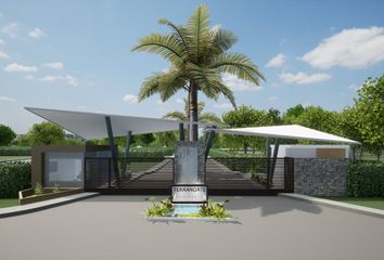 512 lotes de terrenos económicos en venta en Cartagena de Indias ...